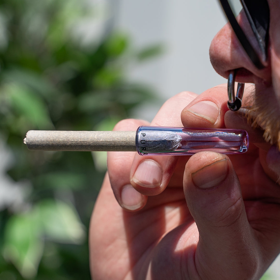 How to Use a Glass Filter Tip for a Glass Tip Blunt - Purr Glass